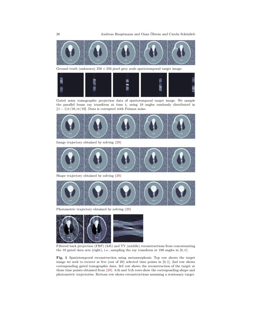 Image reconstruction in dynamic inverse problems with temporal models | DeepAI