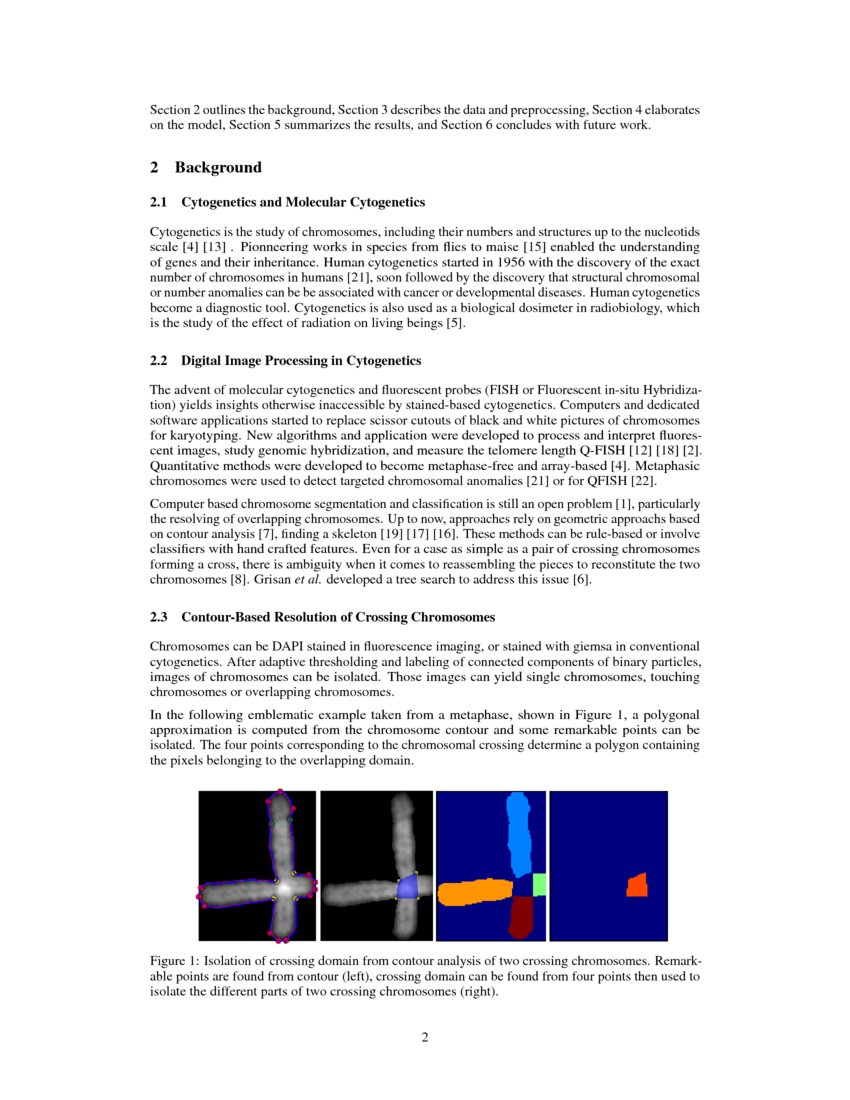 Image Segmentation To Distinguish Between Overlapping Human Chromosomes