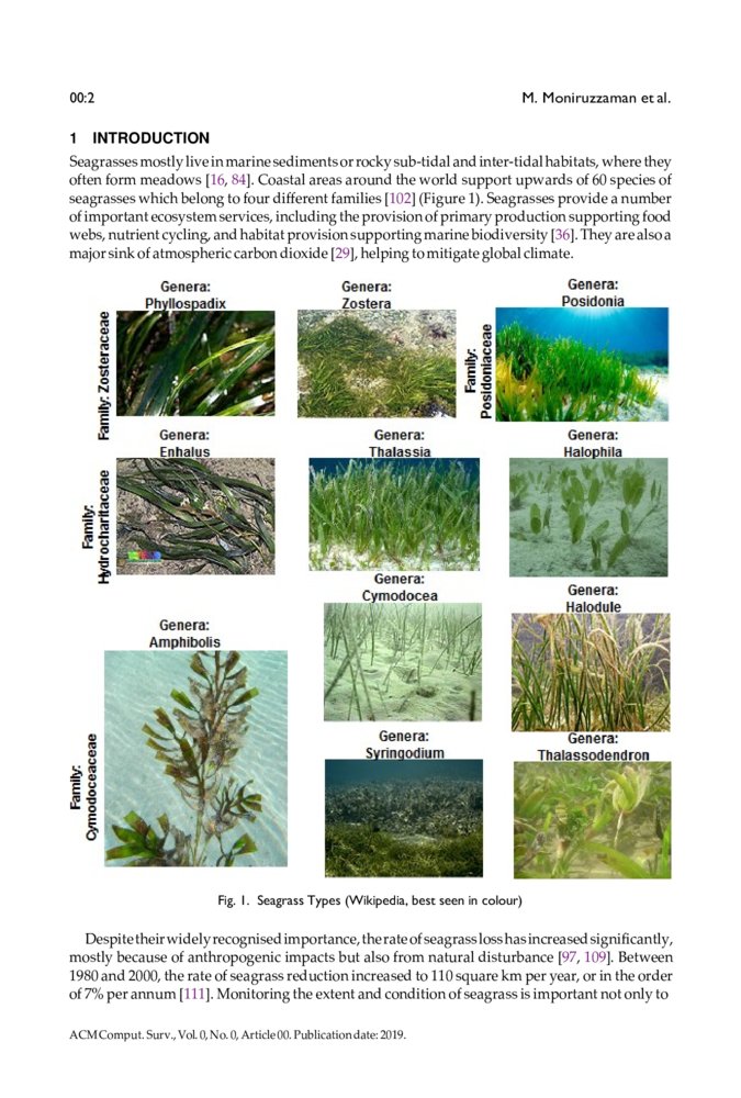 Imaging And Classification Techniques For Seagrass Mapping And Monitoring A Comprehensive