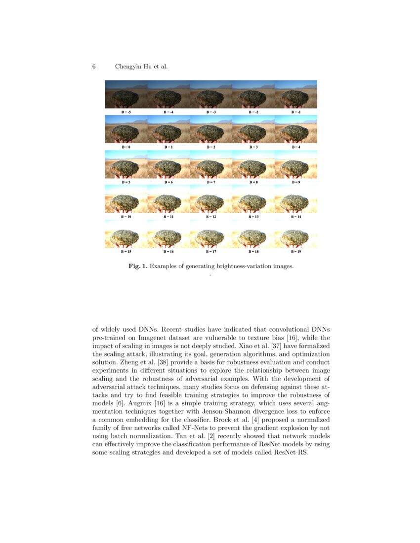 Impact of Light and Shadow on Robustness of Deep Neural Networks | DeepAI