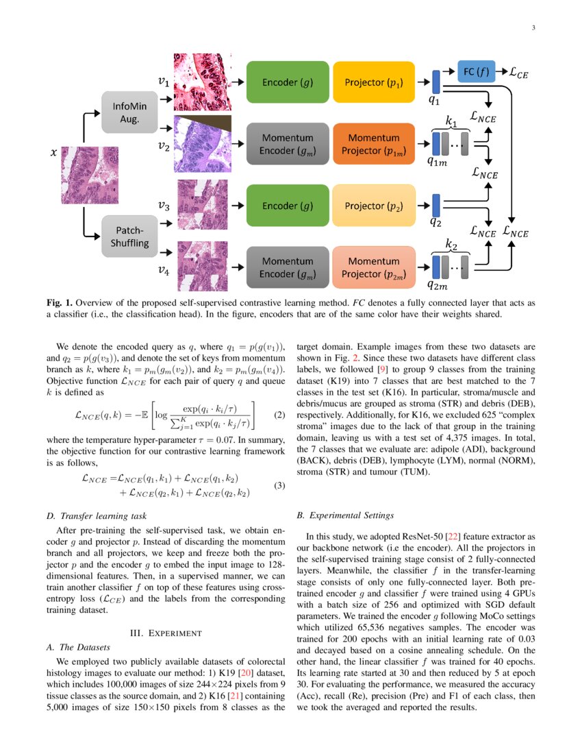 IMPaSh: A Novel Domain-shift Resistant Representation for Colorectal ...