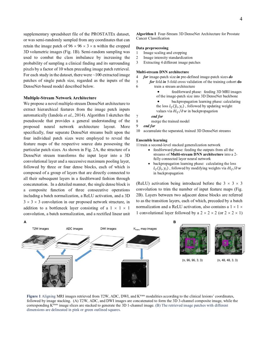 Implementation of Convolutional Neural Network Architecture on 3D Multiparametric Magnetic ...