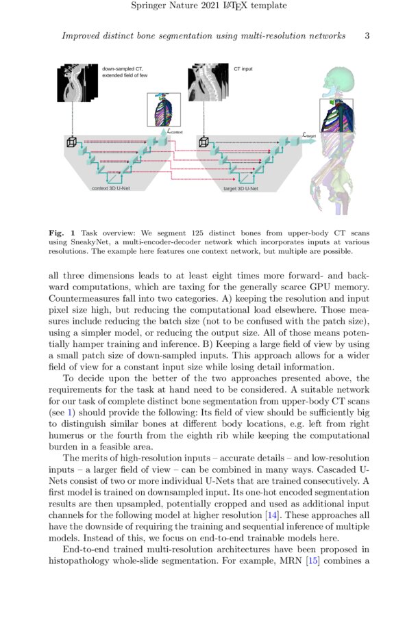 Improved Distinct Bone Segmentation In Upper Body Ct Through Multi