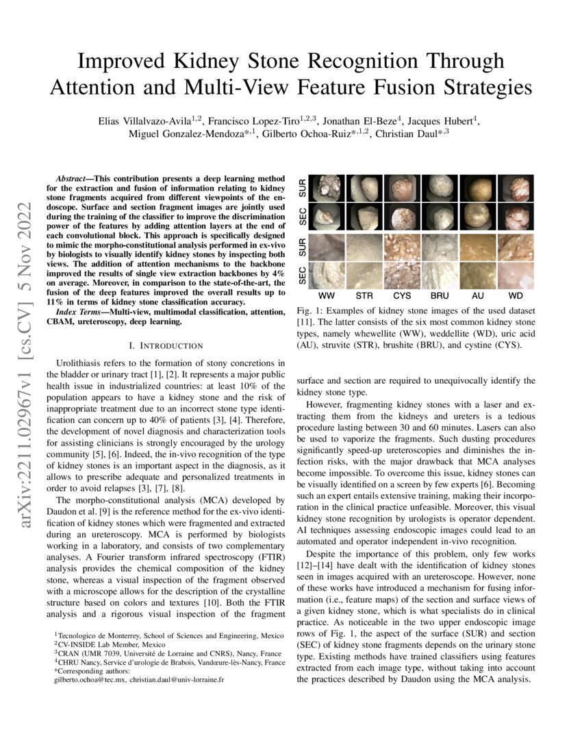 Improved Kidney Stone Recognition Through Attention and Multi-View Feature Fusion Strategies ...