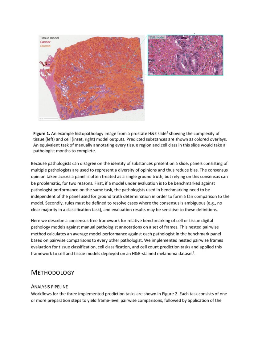 Improved statistical benchmarking of digital pathology models using pairwise frames evaluation ...