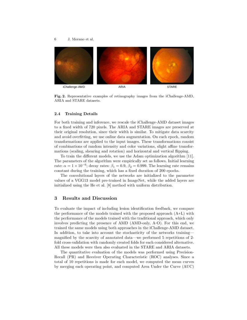 Improving AMD diagnosis by the simultaneous identification of ...