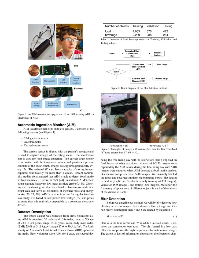 Improving Food Detection For Images From a Wearable Egocentric Camera ...