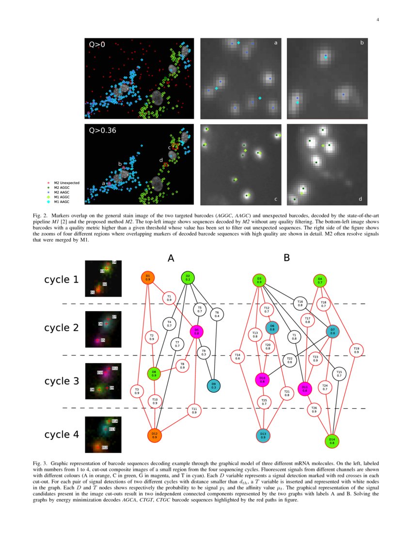 Improving Recall of In Situ Sequencing by Self-Learned Features and a Graphical Model | DeepAI