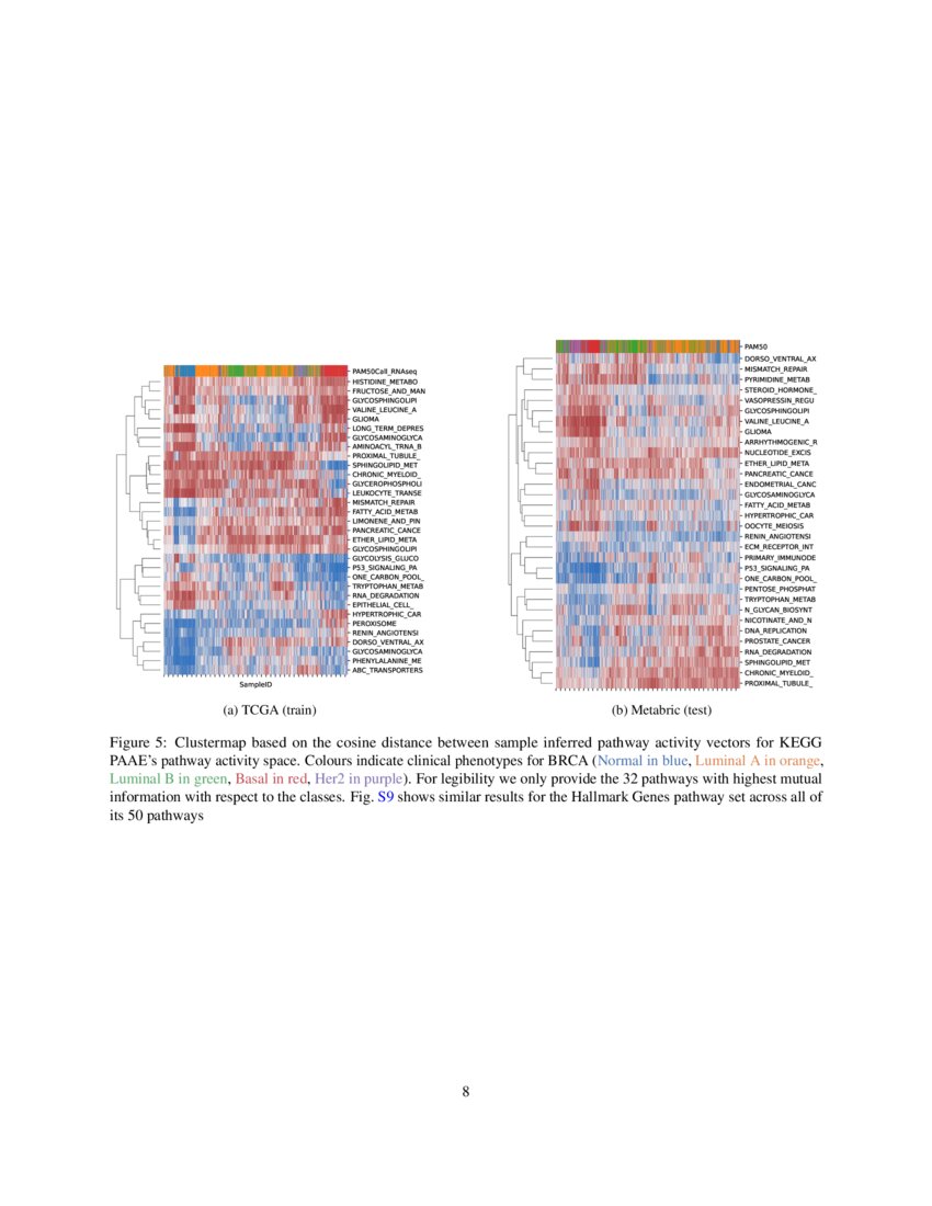 Incorporating Prior Knowledge In Deep Learning Models Via Pathway Activity Autoencoders Deepai