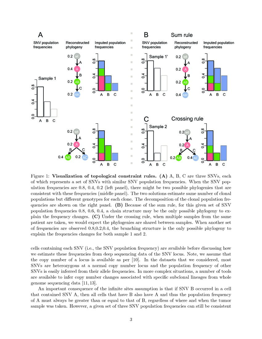 Inferring clonal evolution of tumors from single nucleotide somatic ...