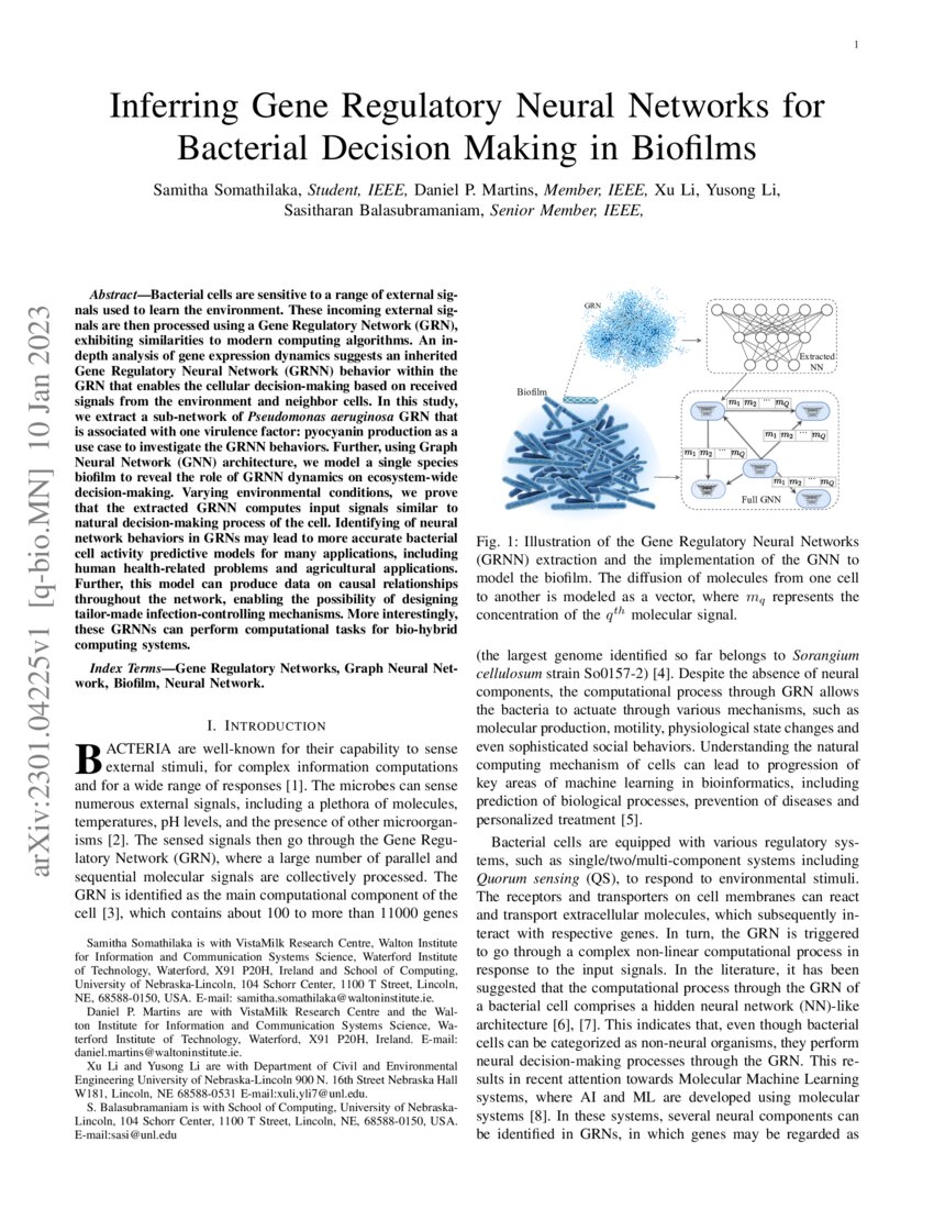 Inferring Gene Regulatory Neural Networks for Bacterial Decision Making in Biofilms | DeepAI