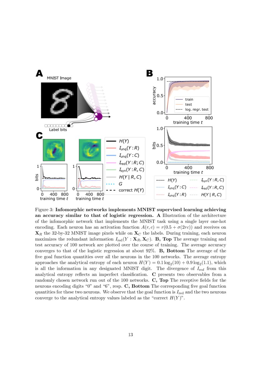 Infomorphic Networks Locally Learning Neural Networks Derived From Partial Information 4400