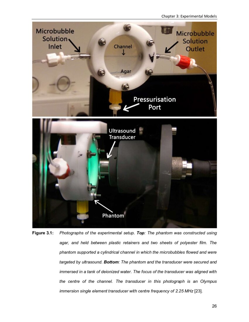 Injectable Bubbles for Physiological Pressure Measurement | DeepAI