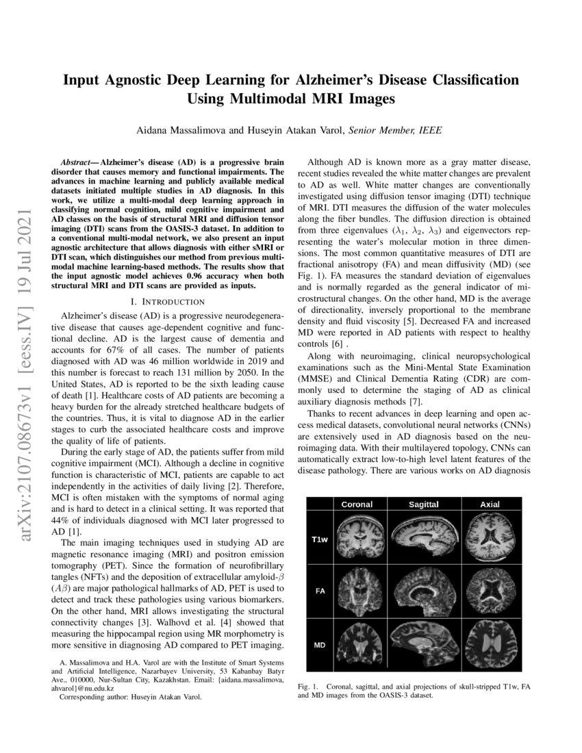 Input Agnostic Deep Learning for Alzheimer's Disease Classification ...