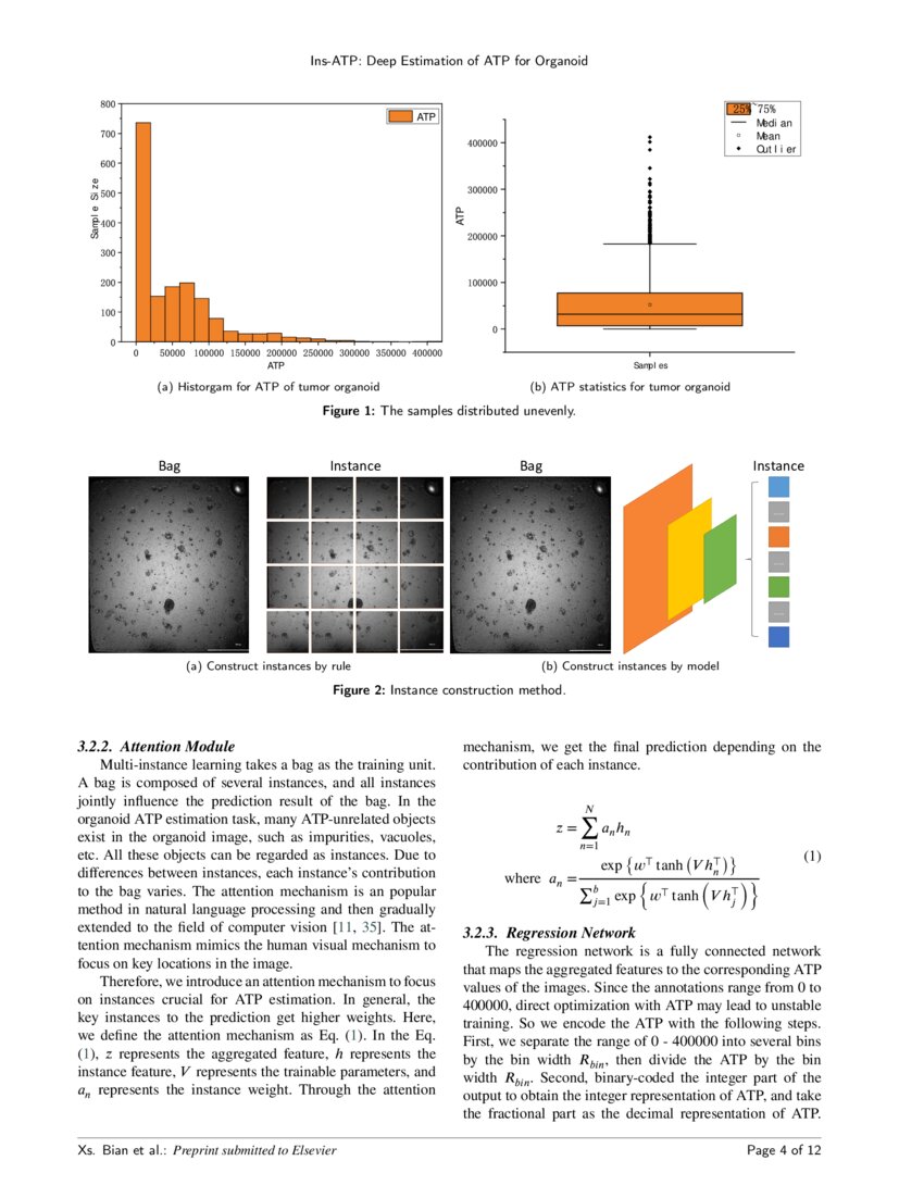 Ins-ATP: Deep Estimation of ATP for Organoid Based on High Throughput ...