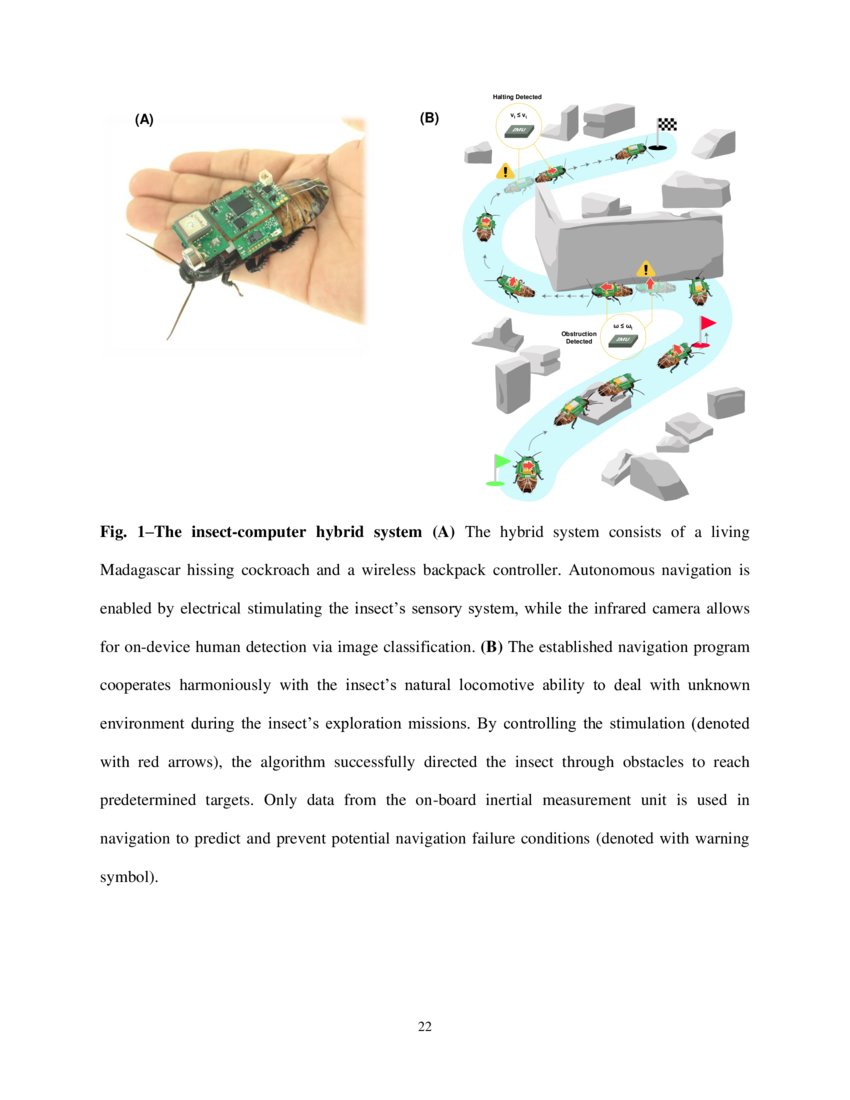 Insect Computer Hybrid System For Autonomous Search And Rescue Mission