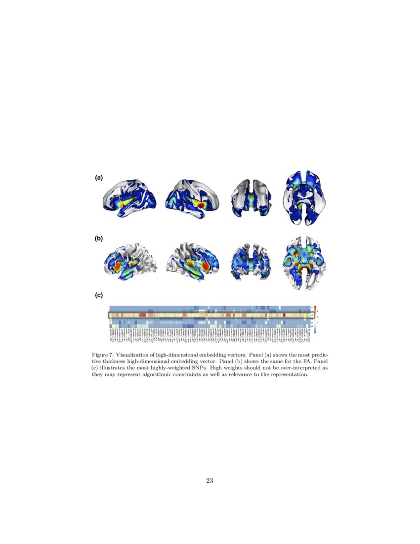 Interpretable Similarity Driven Multi View Embeddings From High