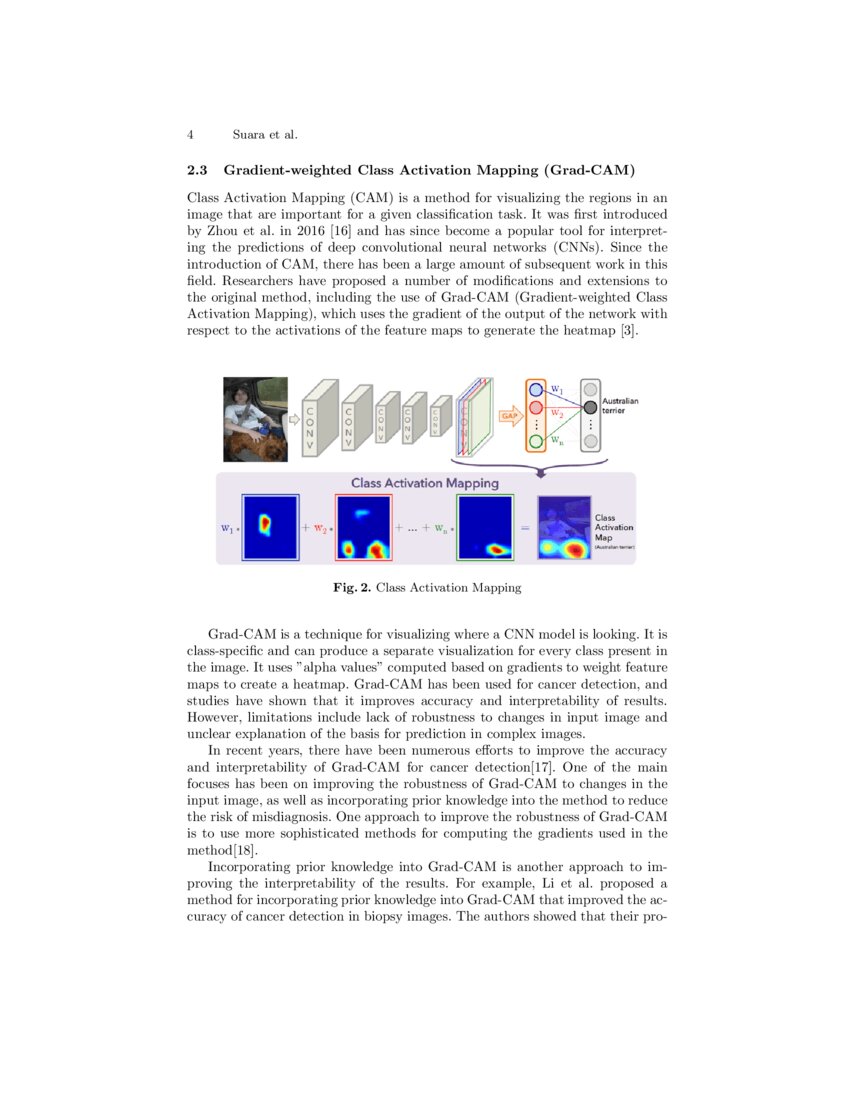 Is Grad-CAM Explainable in Medical Images? | DeepAI