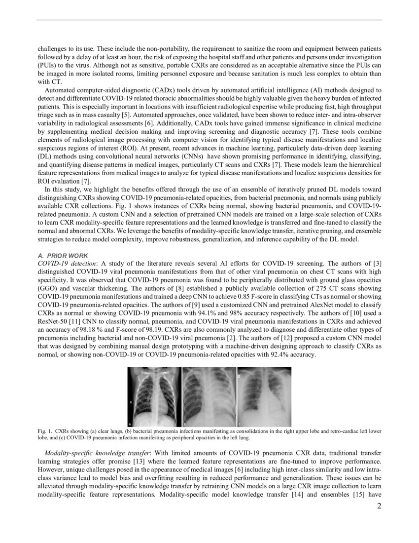 Iteratively Pruned Deep Learning Ensembles for COVID-19 Detection in ...