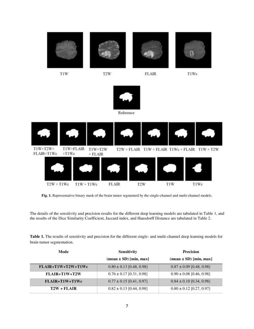 Joint Brain Tumor Segmentation From Multi Mr Sequences Through A Deep