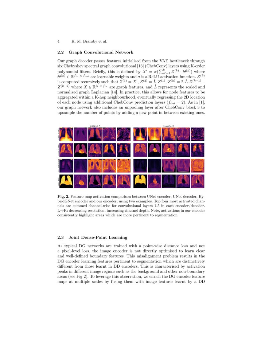 Joint Dense-Point Representation for Contour-Aware Graph Segmentation | DeepAI