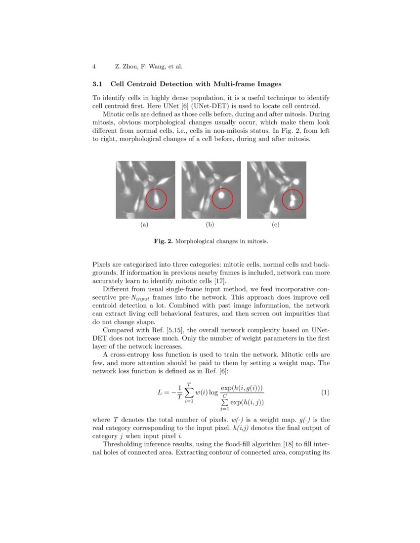 Joint Multi Frame Detection And Segmentation For Multi Cell Tracking