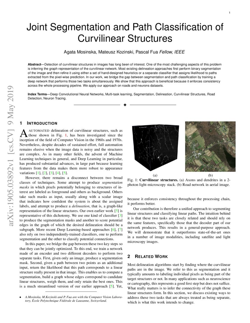 Joint Segmentation and Path Classification of Curvilinear Structures | DeepAI