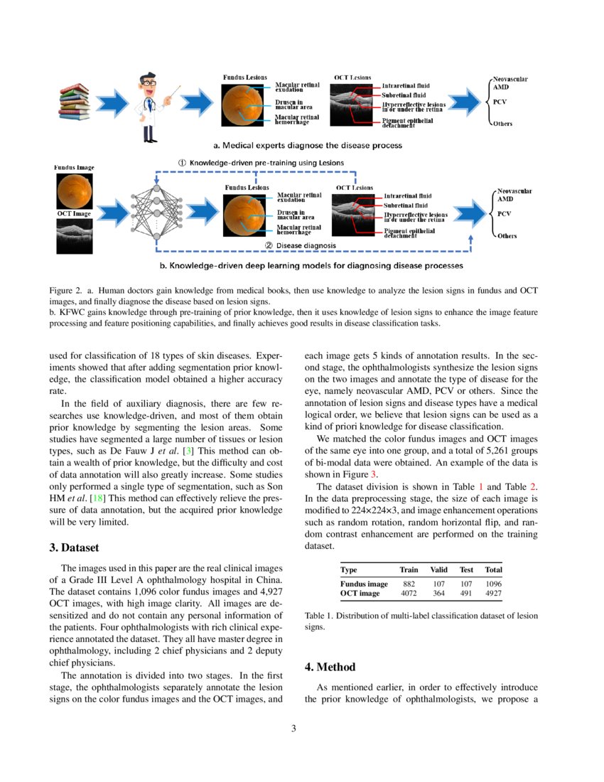 KFWC: A Knowledge-Driven Deep Learning Model for Fine-grained Classification of Wet-AMD | DeepAI