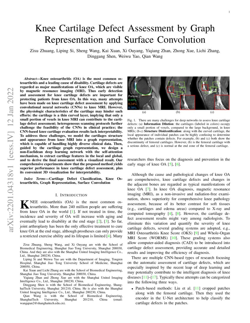Knee Cartilage Defect Assessment by Graph Representation and Surface ...