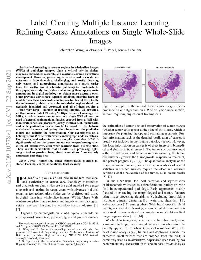 Label Cleaning Multiple Instance Learning: Refining Coarse Annotations on Single Whole-Slide ...
