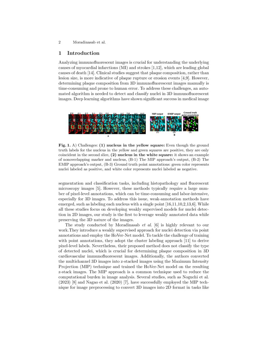 Label Efficient Contrastive Learning Based Model For Nuclei Detection And Classification In 3d 4799