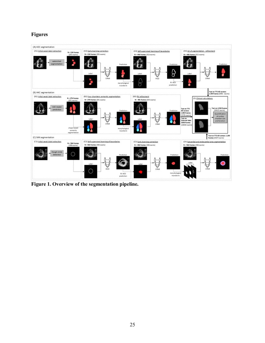 Label-free segmentation from cardiac ultrasound using self-supervised ... Label-free segmentation from cardiac ultrasound using self-supervised ...