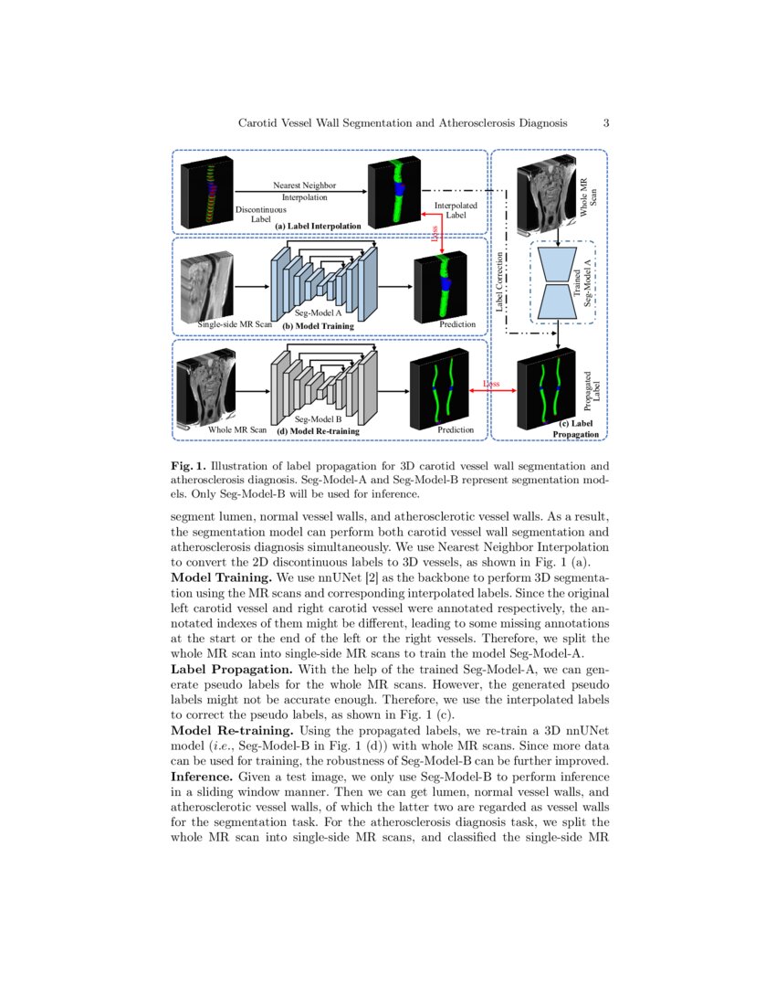 Label Propagation For 3d Carotid Vessel Wall Segmentation And Atherosclerosis Diagnosis Deepai