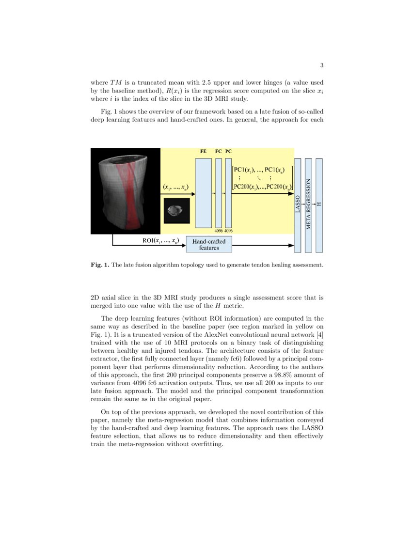 Late Fusion Of Deep Learning And Hand Crafted Features For Achilles Tendon Healing Monitoring