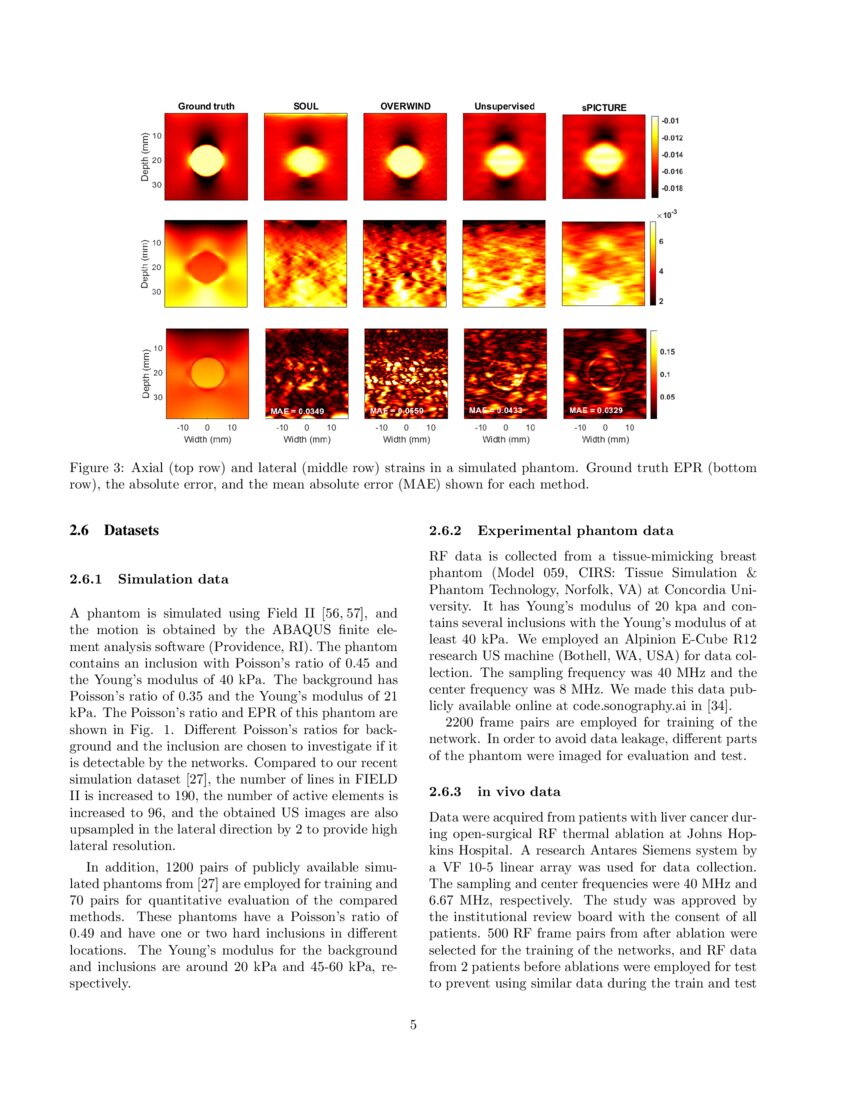 Lateral Strain Imaging Using Self Supervised And Physically Inspired Constraints In Unsupervised