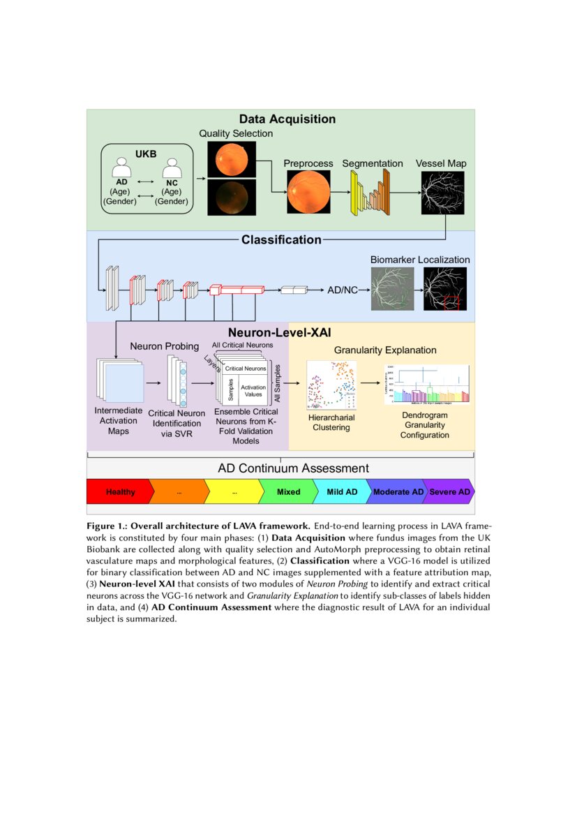 LAVA: Granular Neuron-Level Explainable AI for Alzheimer's Disease Assessment from Fundus Images ...