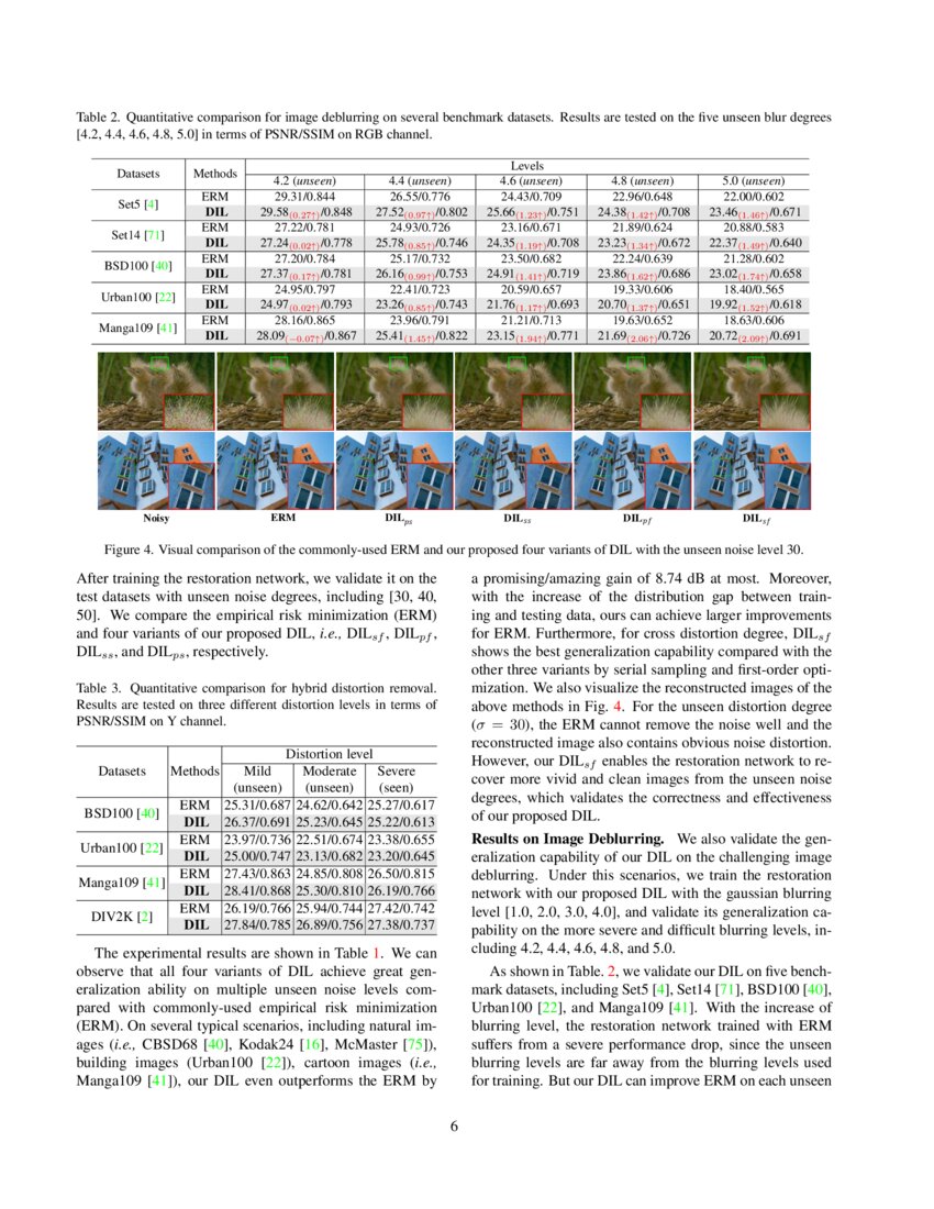 Learning Distortion Invariant Representation For Image Restoration From