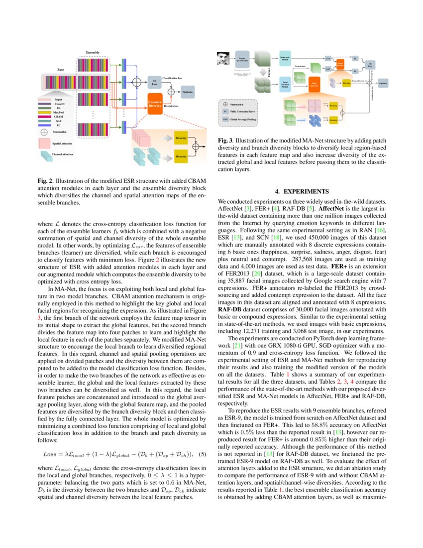 Learning Diversified Feature Representations for Facial Expression Recognition in the Wild | DeepAI