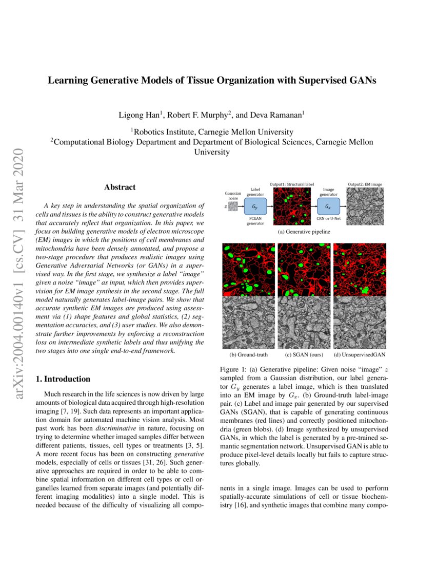 Learning Generative Models of Tissue Organization with Supervised GANs | DeepAI