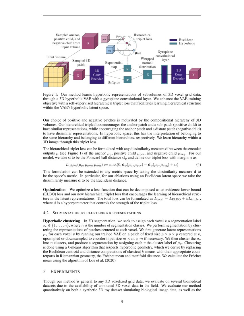 Learning Hyperbolic Representations for Unsupervised 3D Segmentation ...