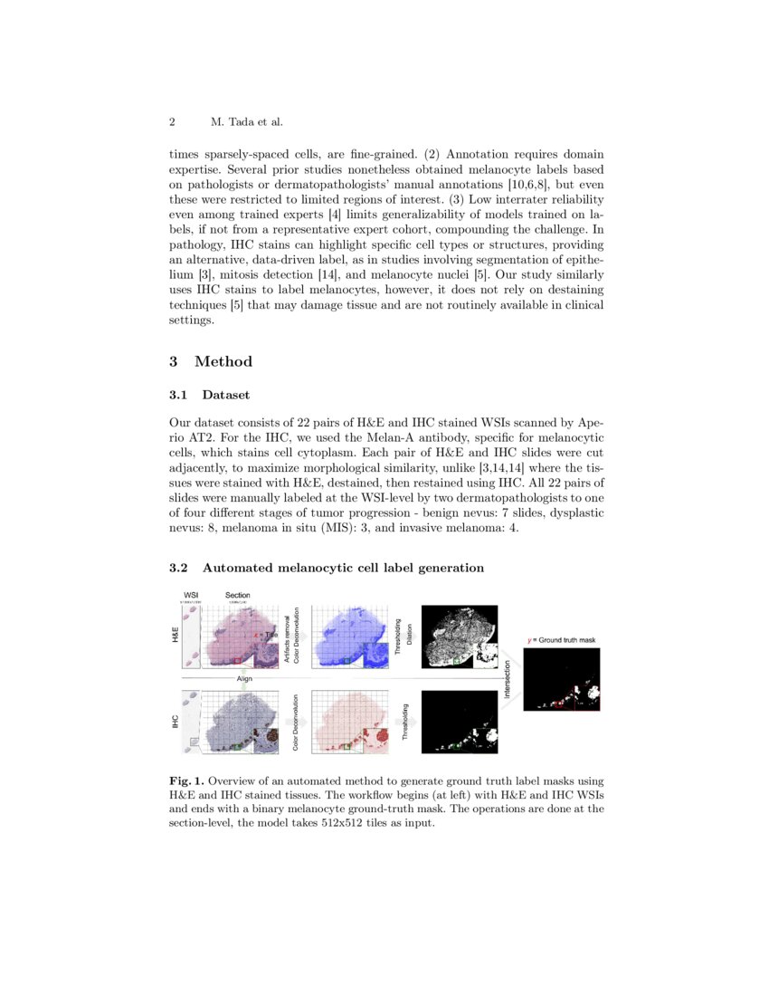 Learning Melanocytic Cell Masks from Adjacent Stained Tissue | DeepAI