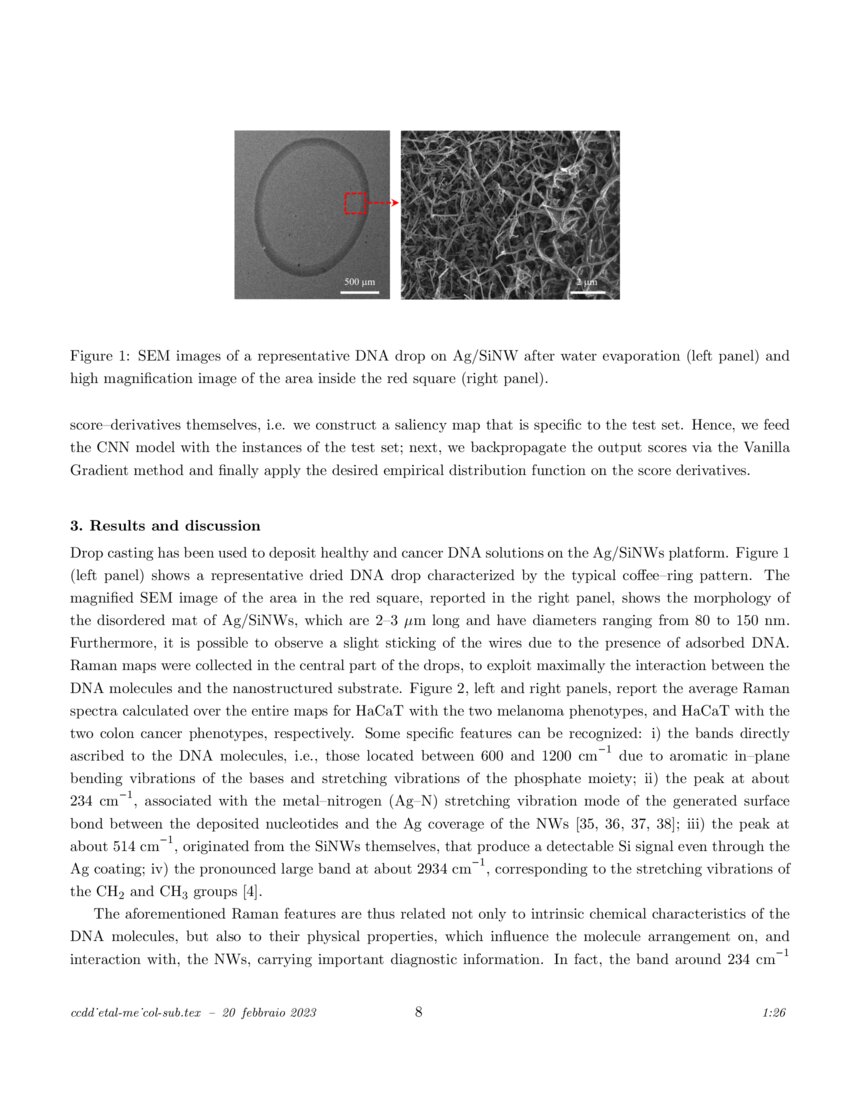 Learning Models For Classifying Raman Spectra Of Genomic Dna From Tumor