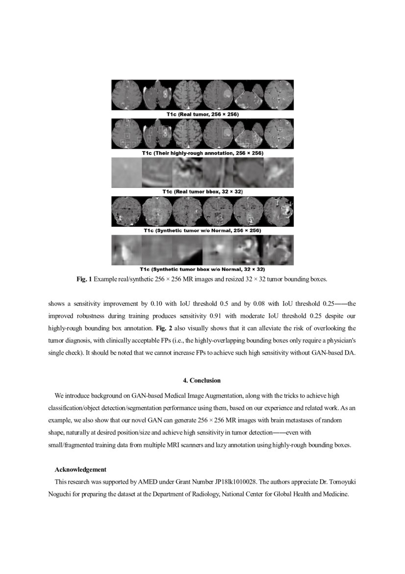 Learning More with Less: GAN-based Medical Image Augmentation | DeepAI