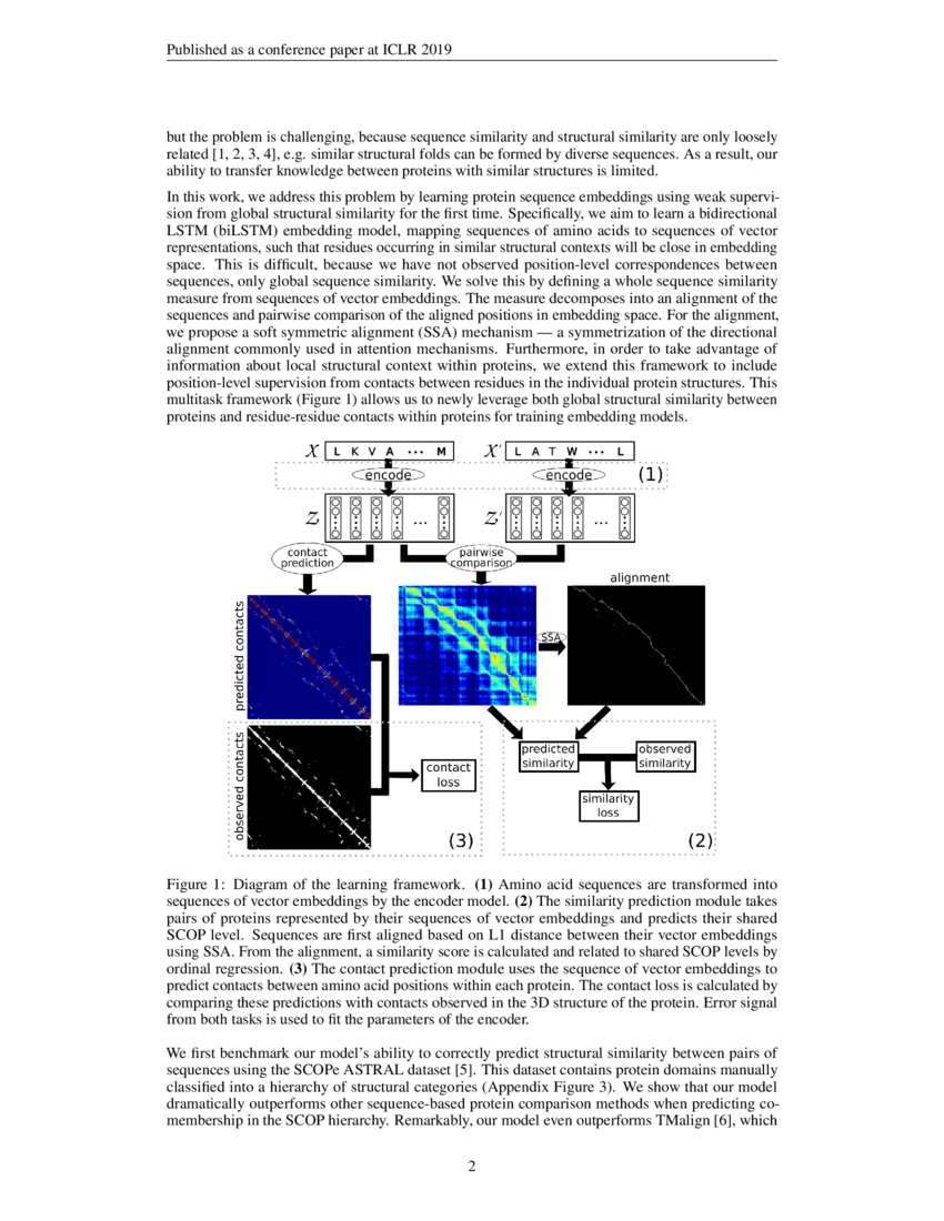 Learning protein sequence embeddings using information from structure | DeepAI