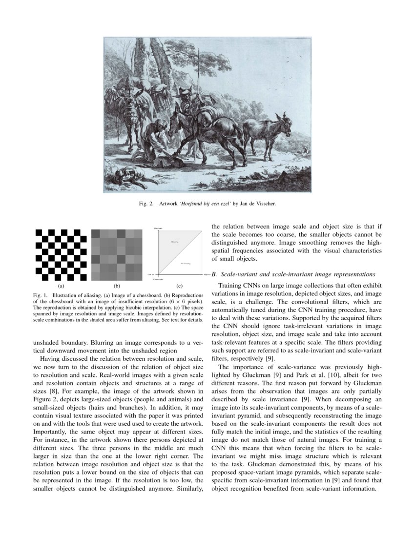 Learning scale-variant and scale-invariant features for deep image ...