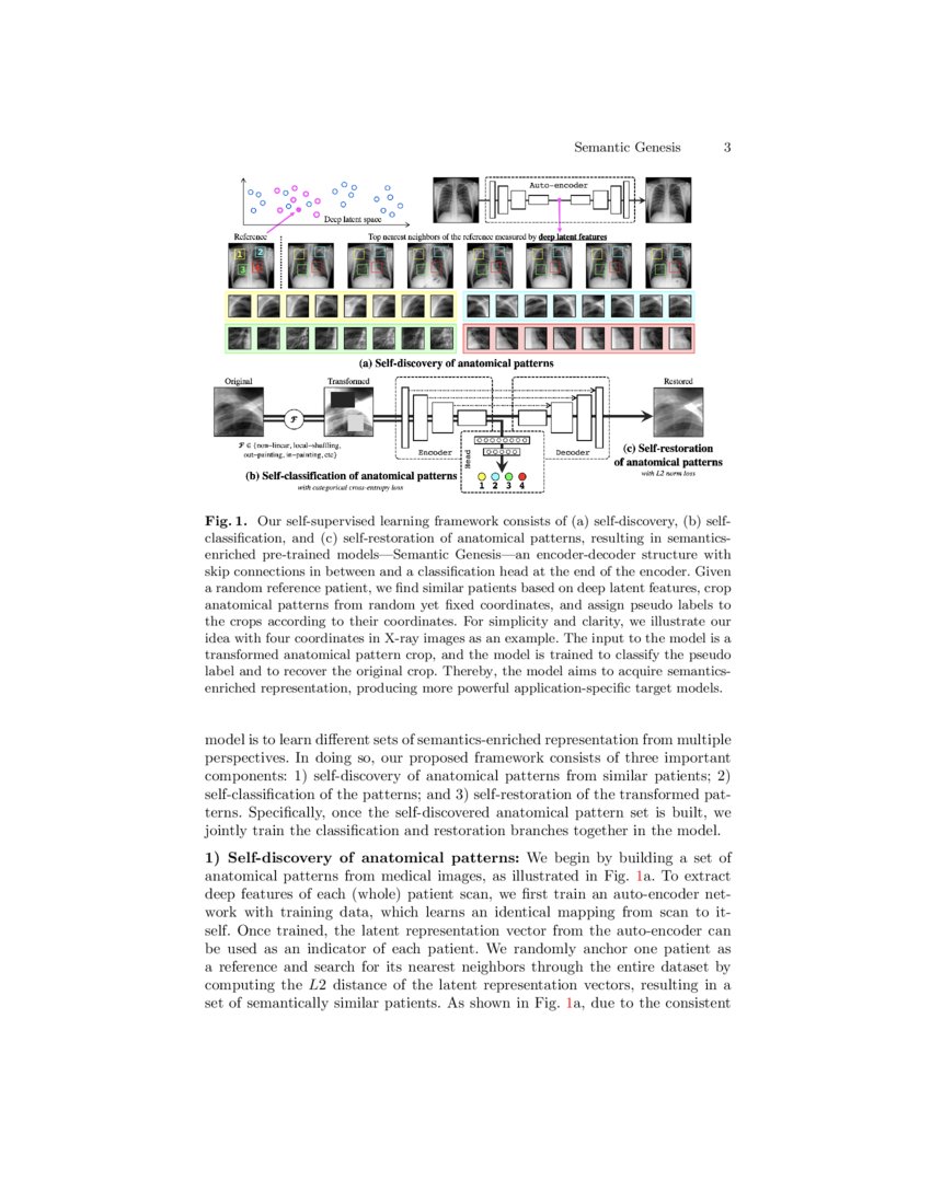 Learning Semantics-enriched Representation via Self-discovery, Self-classification, and Self ...