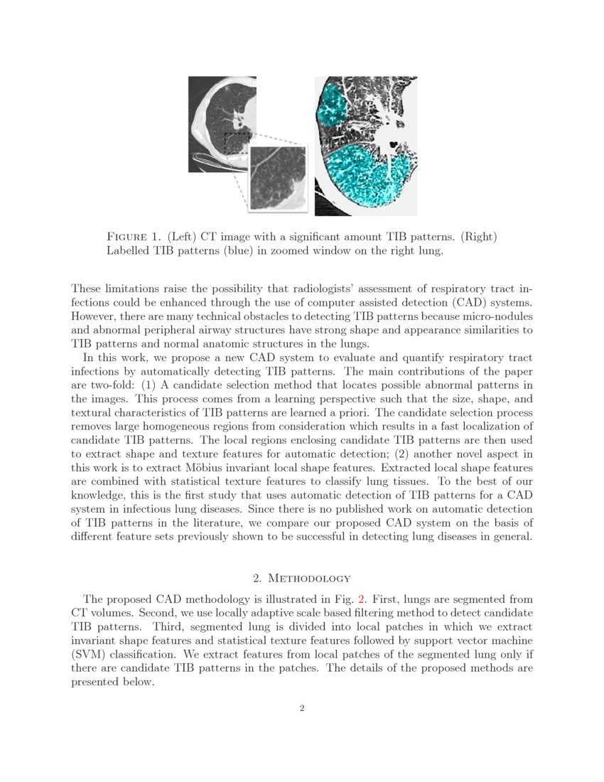 Learning Shape and Texture Characteristics of CT Tree-in-Bud Opacities ...
