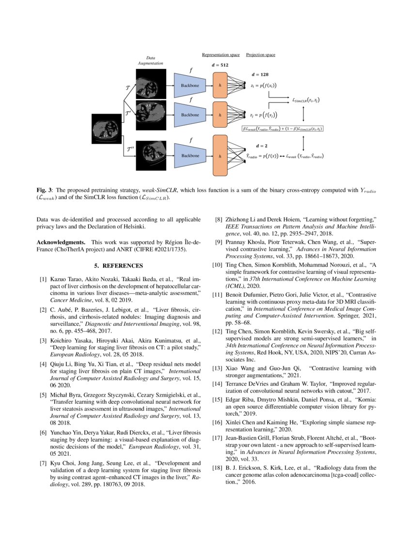 Learning to diagnose cirrhosis from radiological and histological labels with joint self and ...