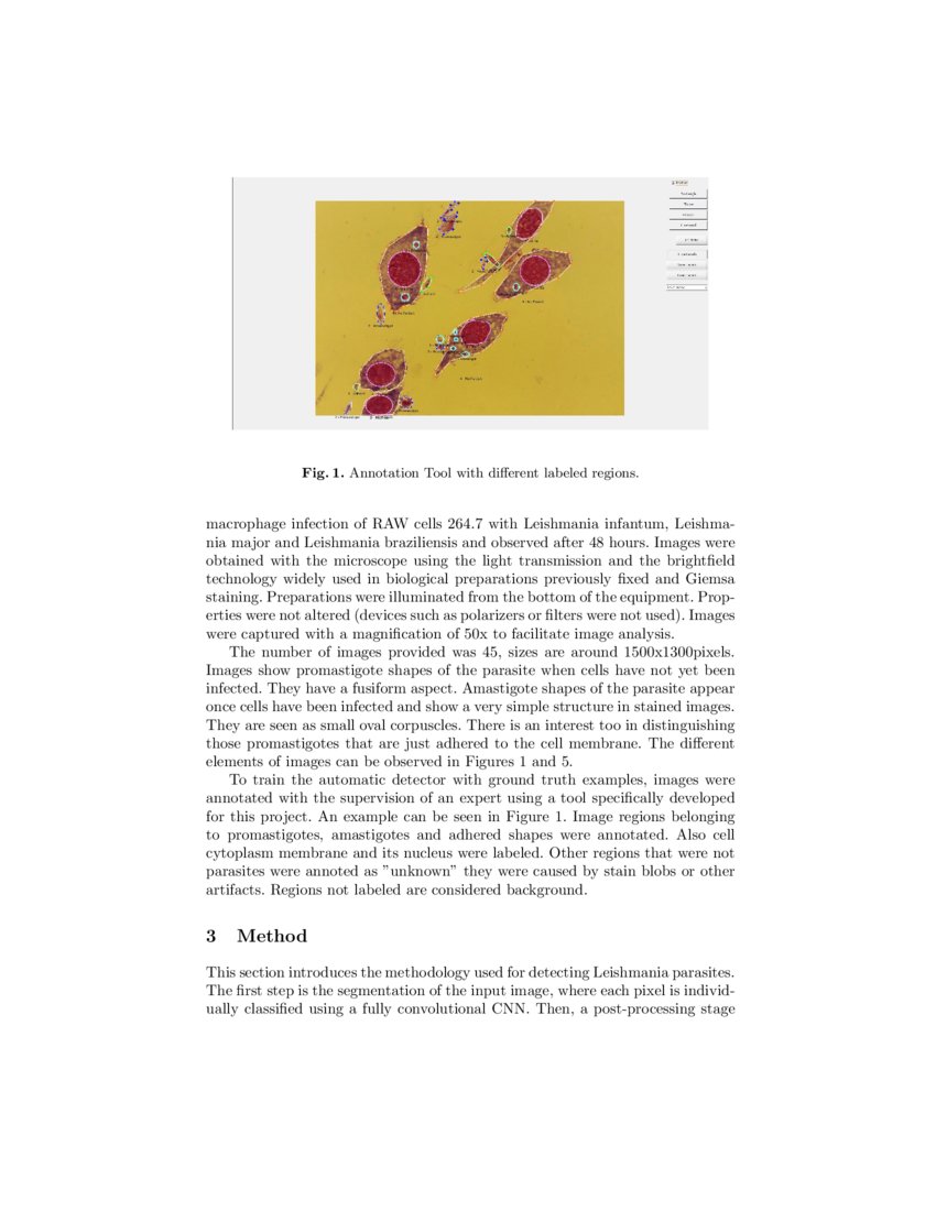 Leishmaniasis Parasite Segmentation and Classification using Deep Learning | DeepAI