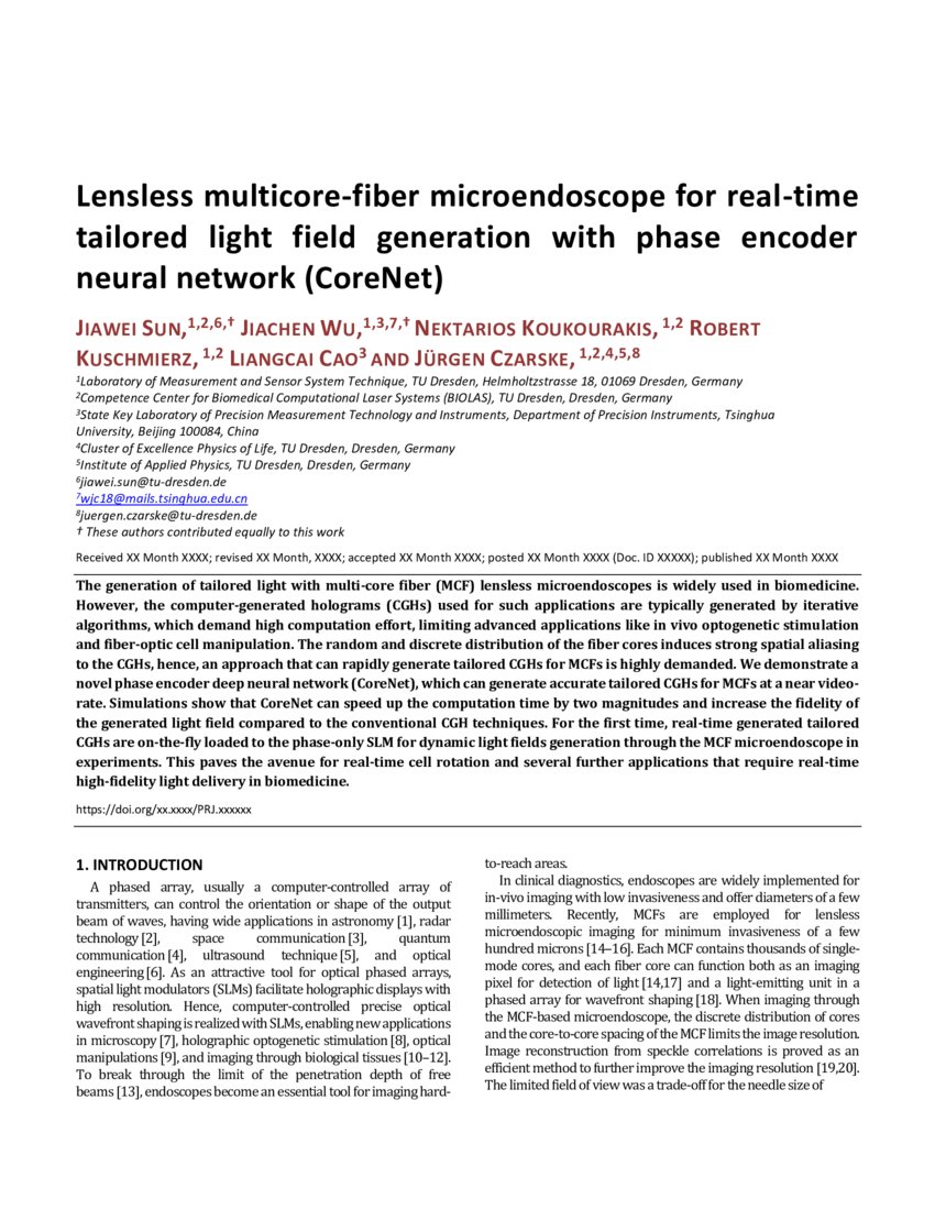 Lensless multicore-fiber microendoscope for real-time tailored light ...